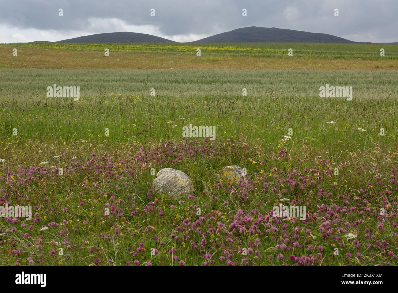 Two Stones and Two Hills embedded in a Beautiful Machair, Berneray ...
