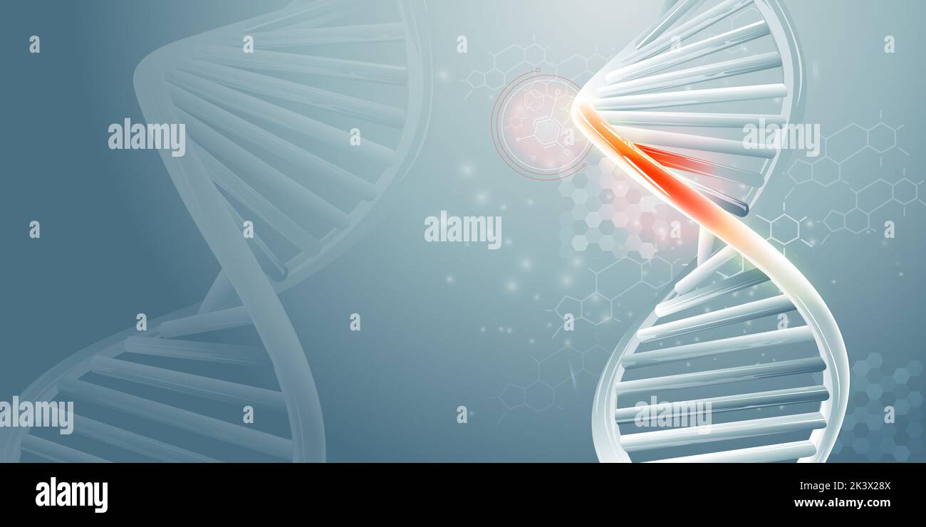 DNA double helix strands and scientific data infographics Stock Photo ...