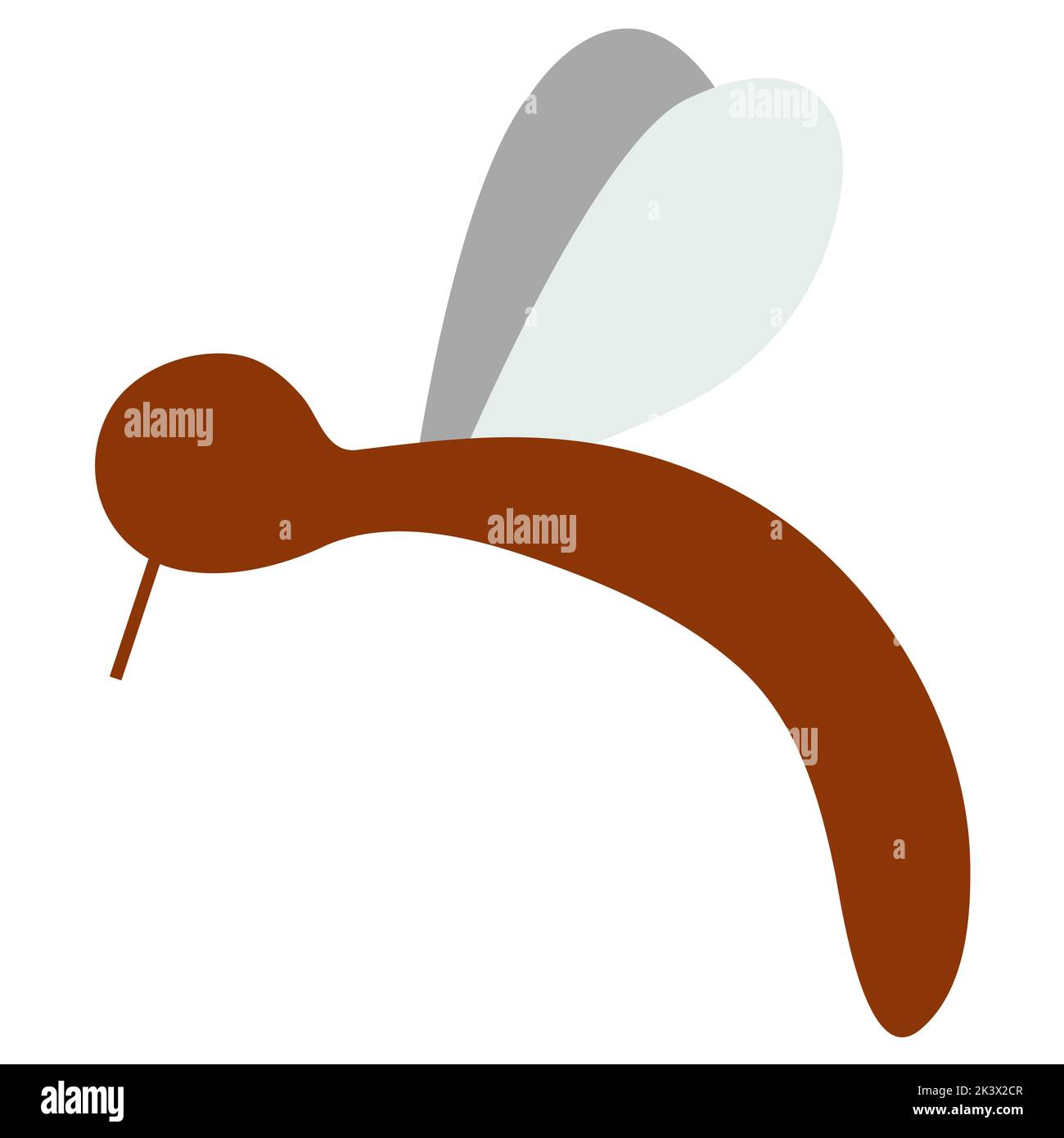 Vector mosquito in cartoon hand drawn flat style. Insects Stock Vector ...