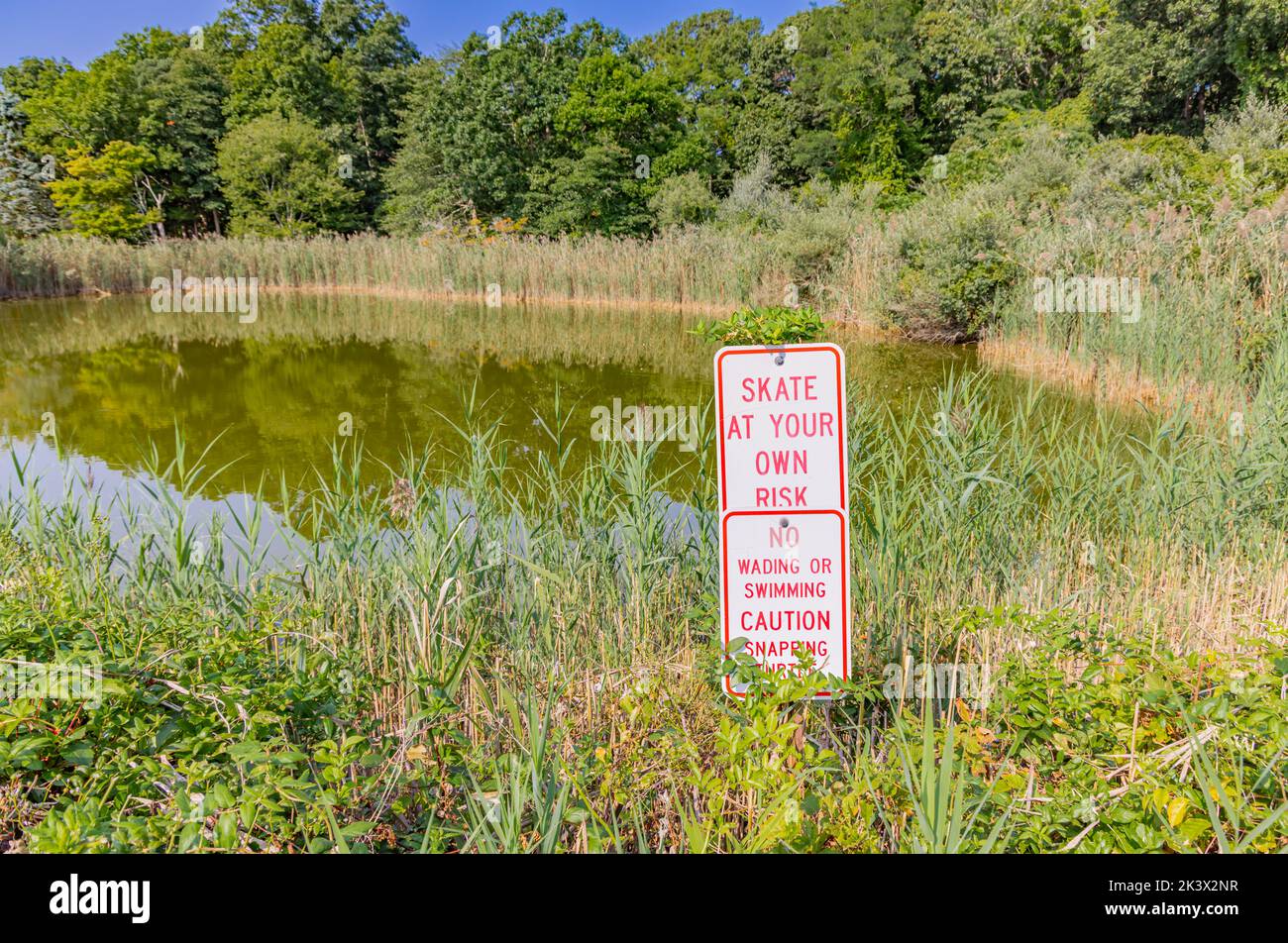 Ryder Pond in North Haven, NY Stock Photo - Alamy
