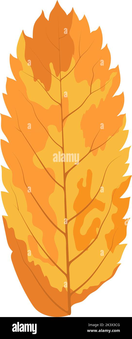 Autumn Rowan leaf. Leaf fall. Vector illustration Stock Vector Image ...