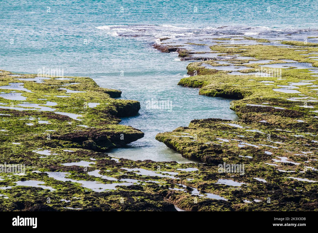 Caleta Valdes landescape, Peninsula Valdes chubut province Patagonia ...