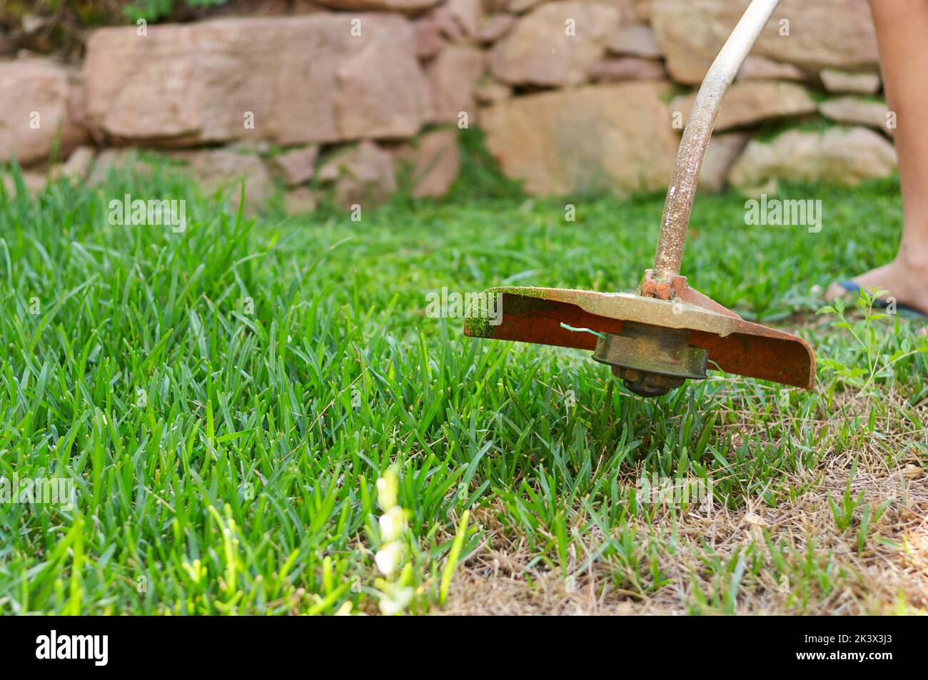electric braid on grass background Stock Photo - Alamy