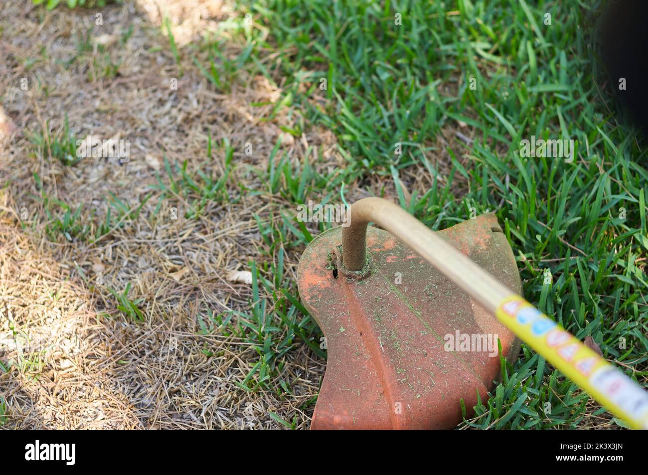 electric braid on grass background Stock Photo - Alamy