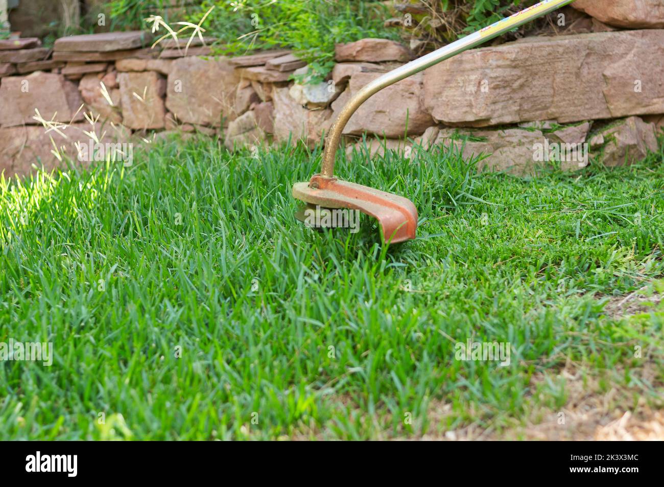 electric braid on grass background Stock Photo - Alamy