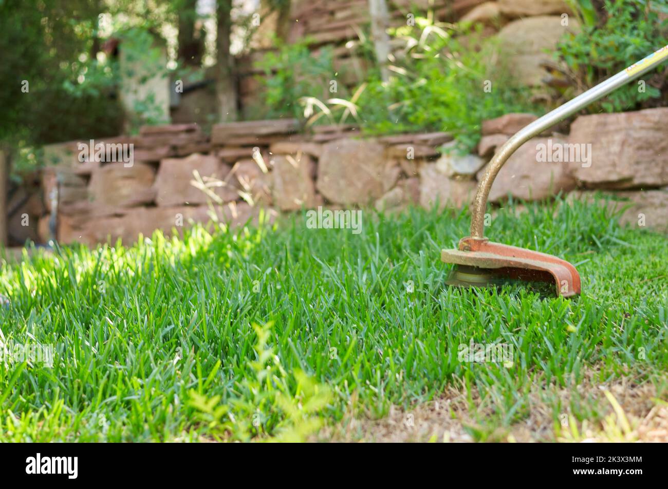 electric braid on grass background Stock Photo - Alamy