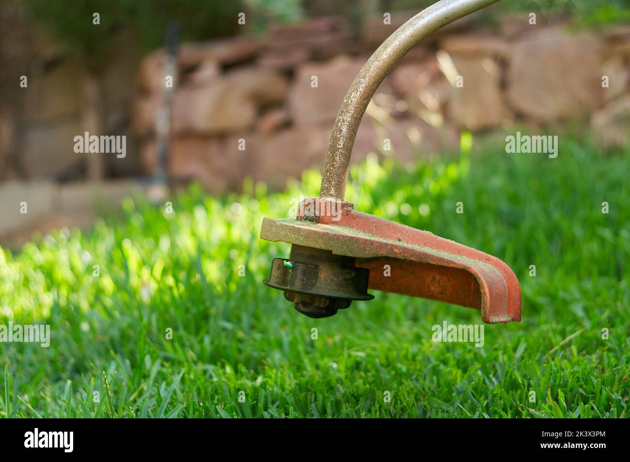 electric braid on grass background Stock Photo - Alamy