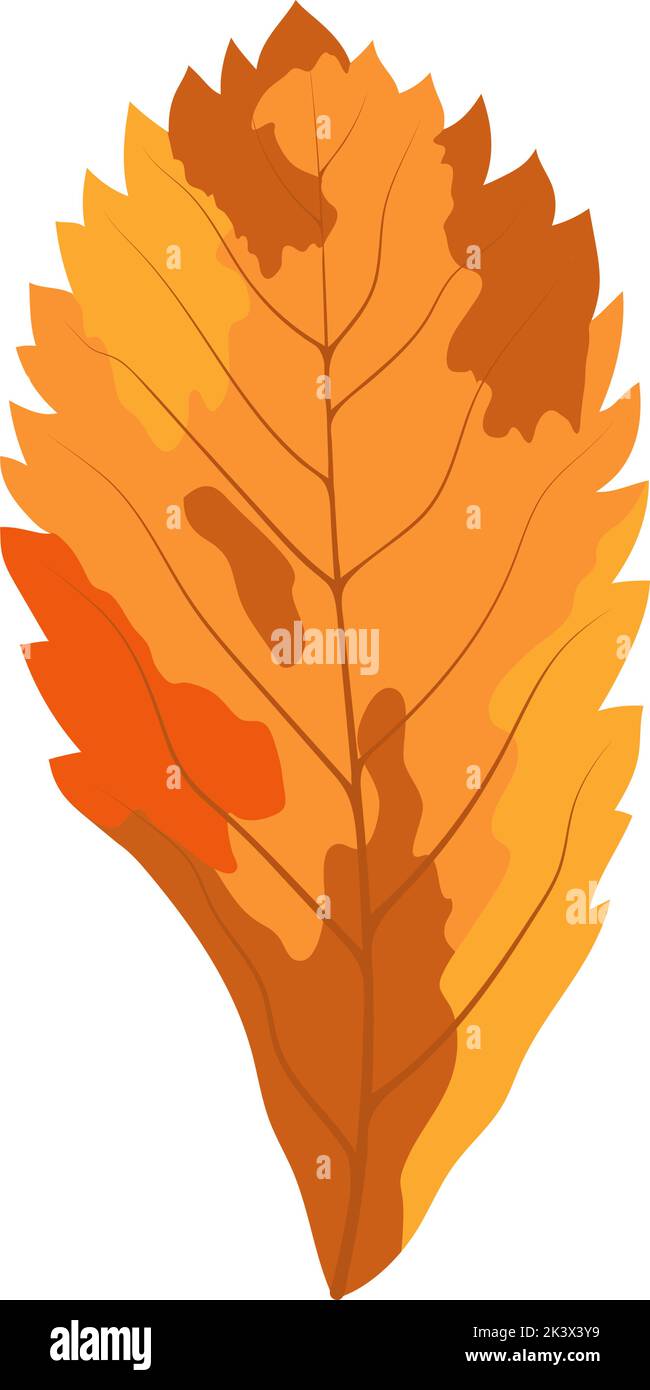 Autumn Rowan leaf. Leaf fall. Vector illustration Stock Vector Image ...