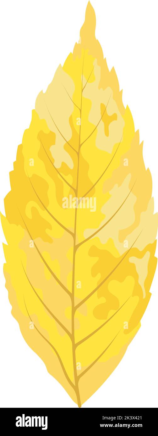 Autumn ash-tree leaf. Leaf fall. Vector illustration Stock Vector Image ...