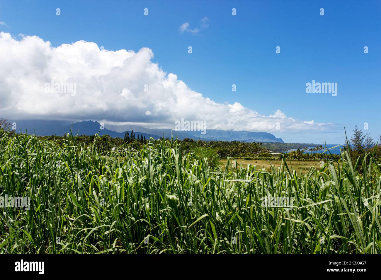 Dramatic coastal landscape rolling waves hi-res stock photography and ...