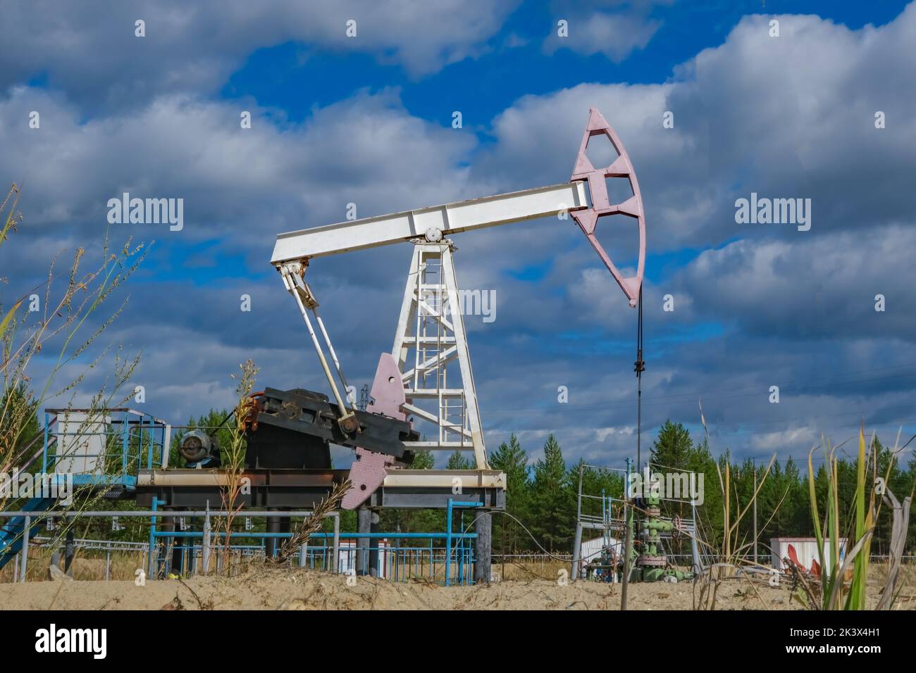 Shoulder rig hi-res stock photography and images - Alamy