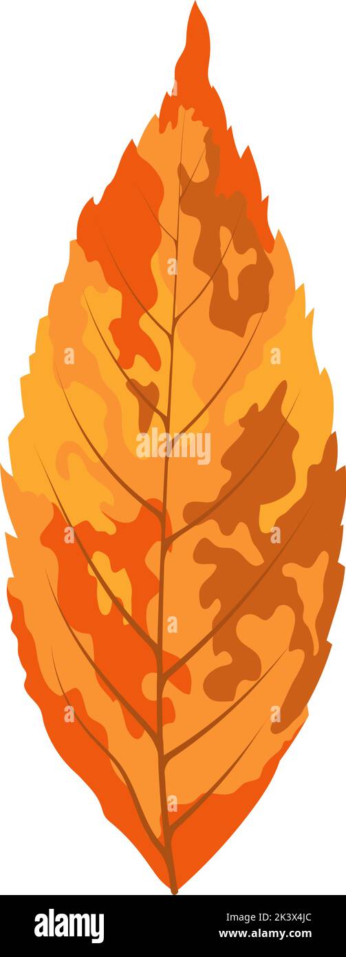 Autumn ash-tree leaf. Leaf fall. Vector illustration Stock Vector Image ...