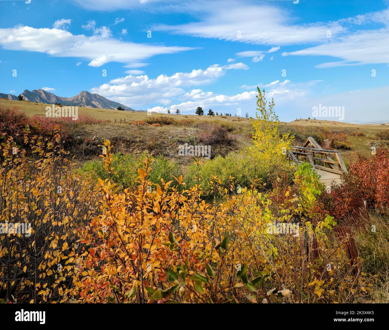 Autumn Colors in Colorado Stock Photo - Alamy