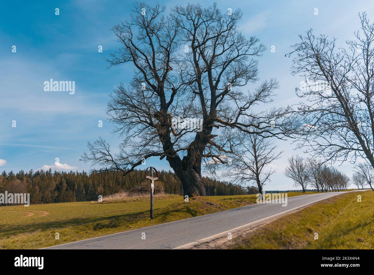 Road with a statue of Jesus on the cross along it, taken in sunny ...