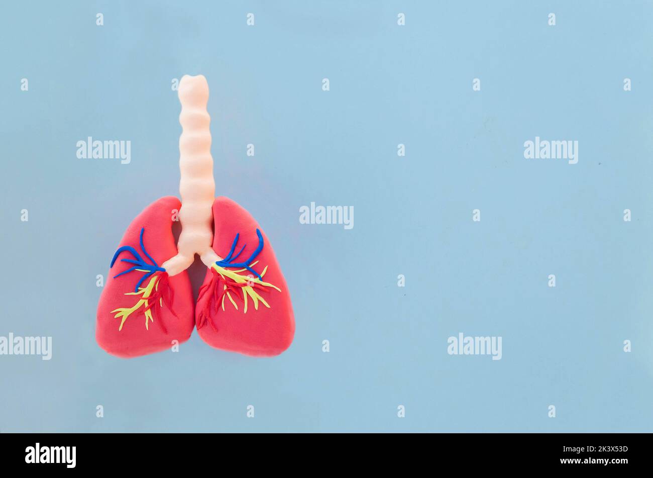 Toy lungs from plasticine on blue background Stock Photo - Alamy