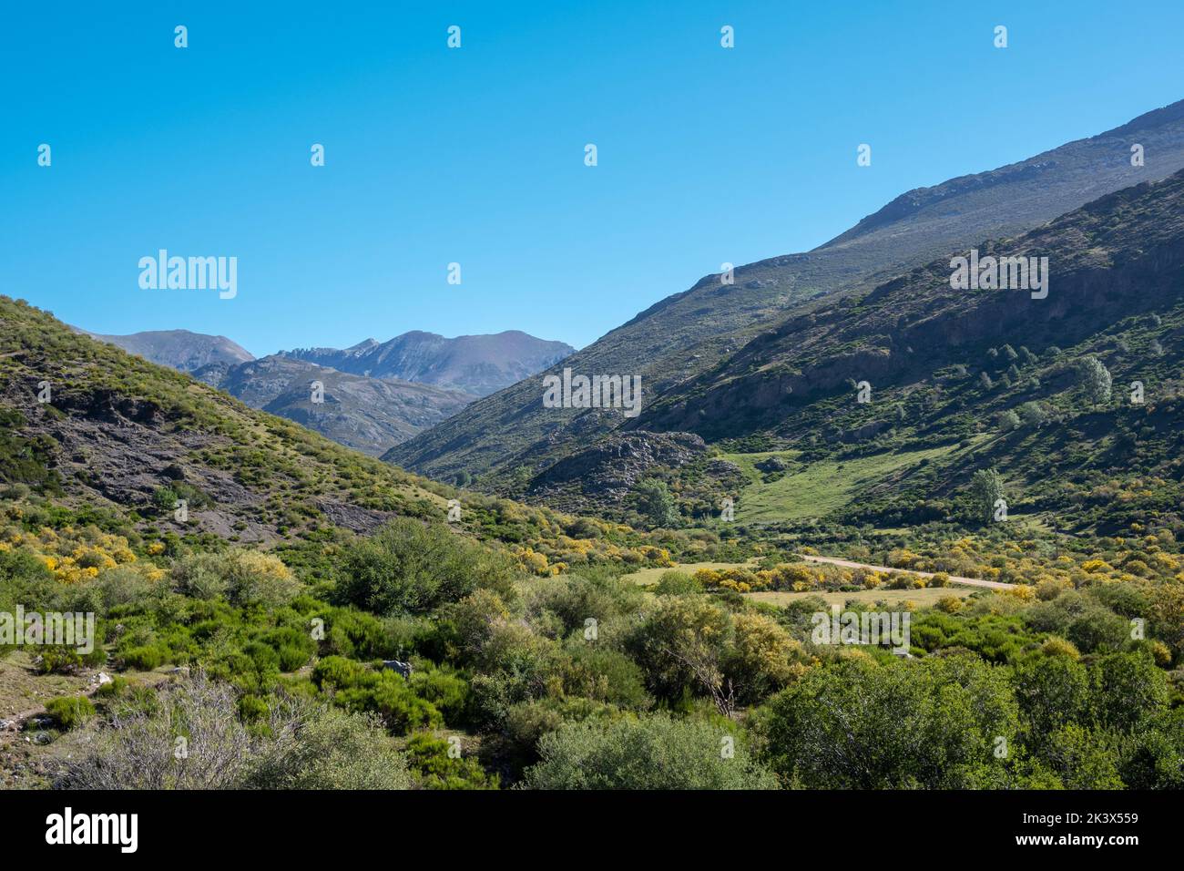 Valle del arroyo de Mazobre en el parque natural de la montaÃ±a ...