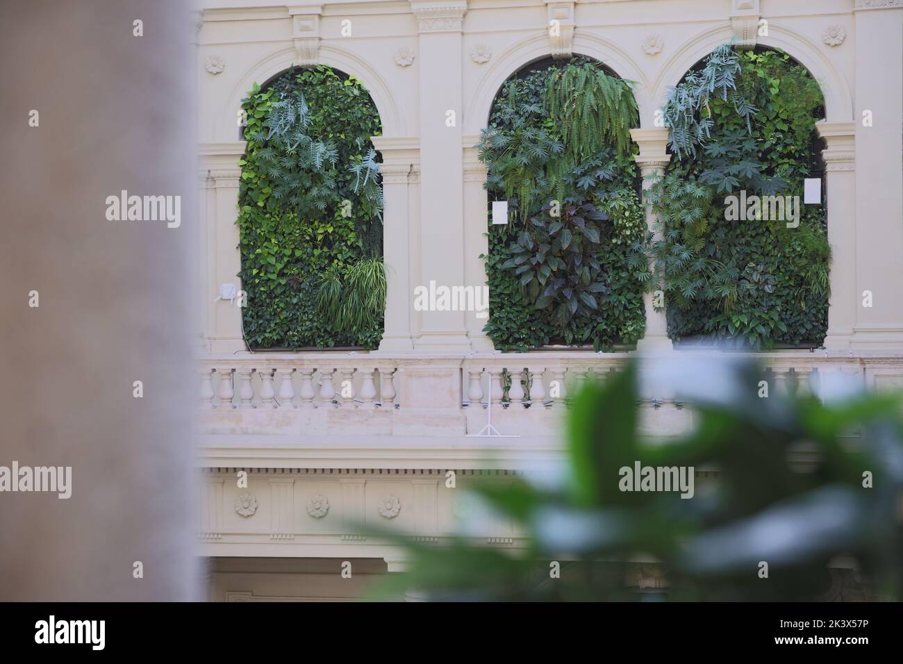 Arches rails and nature in windows Stock Photo - Alamy