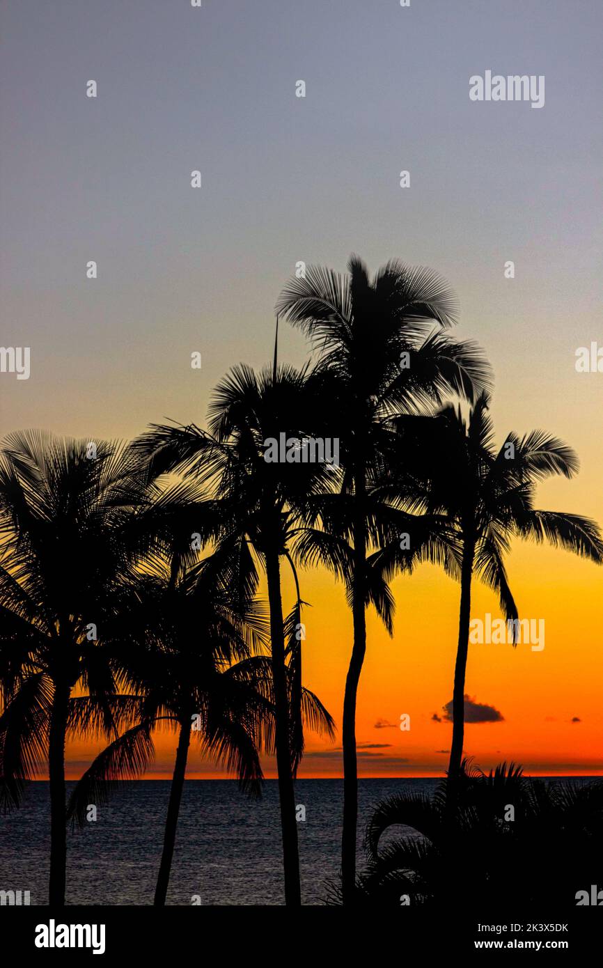 Tropical sunset hi-res stock photography and images - Alamy