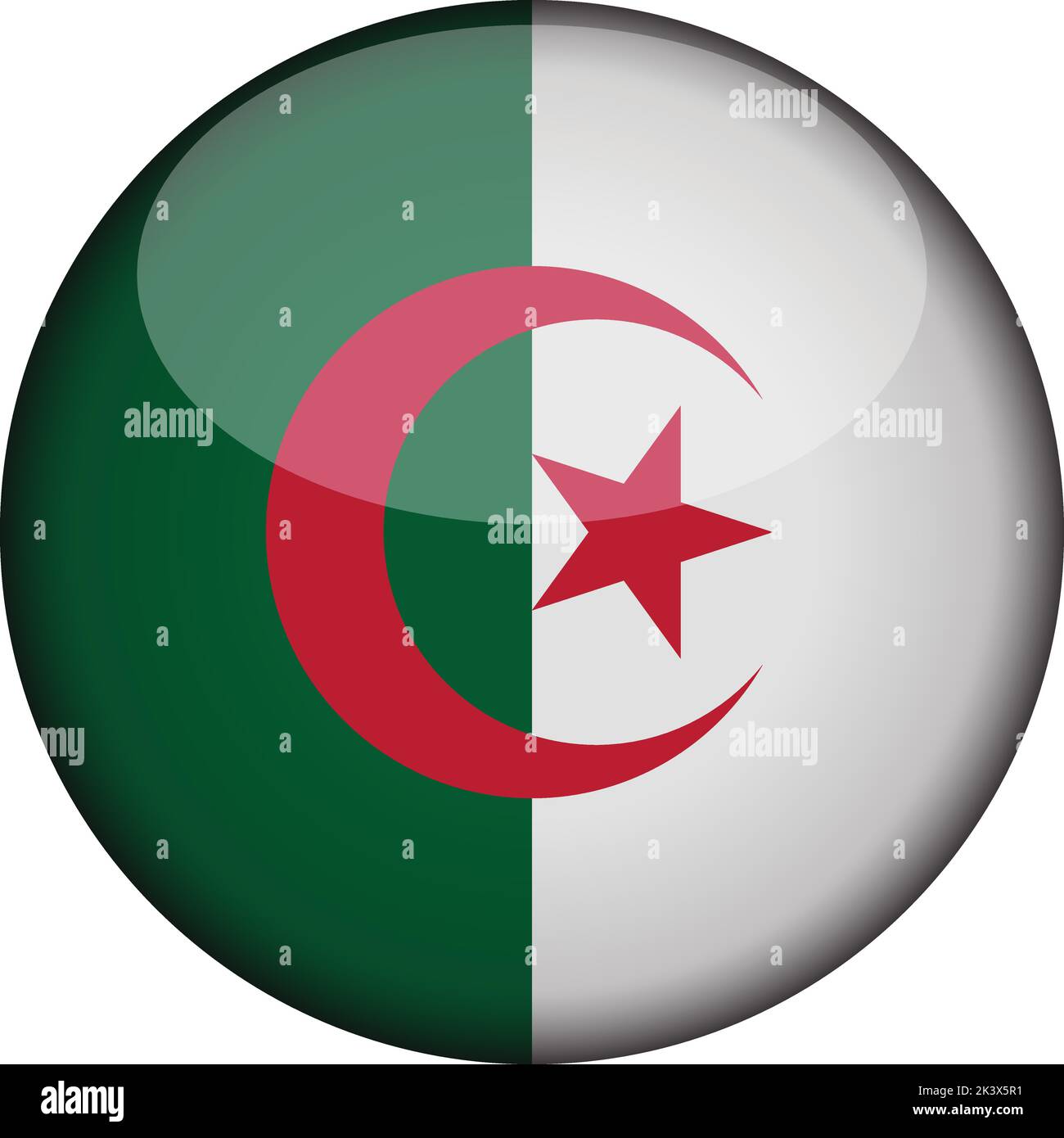 algeria Flag in glossy round button of icon. algeria emblem isolated on white background ...