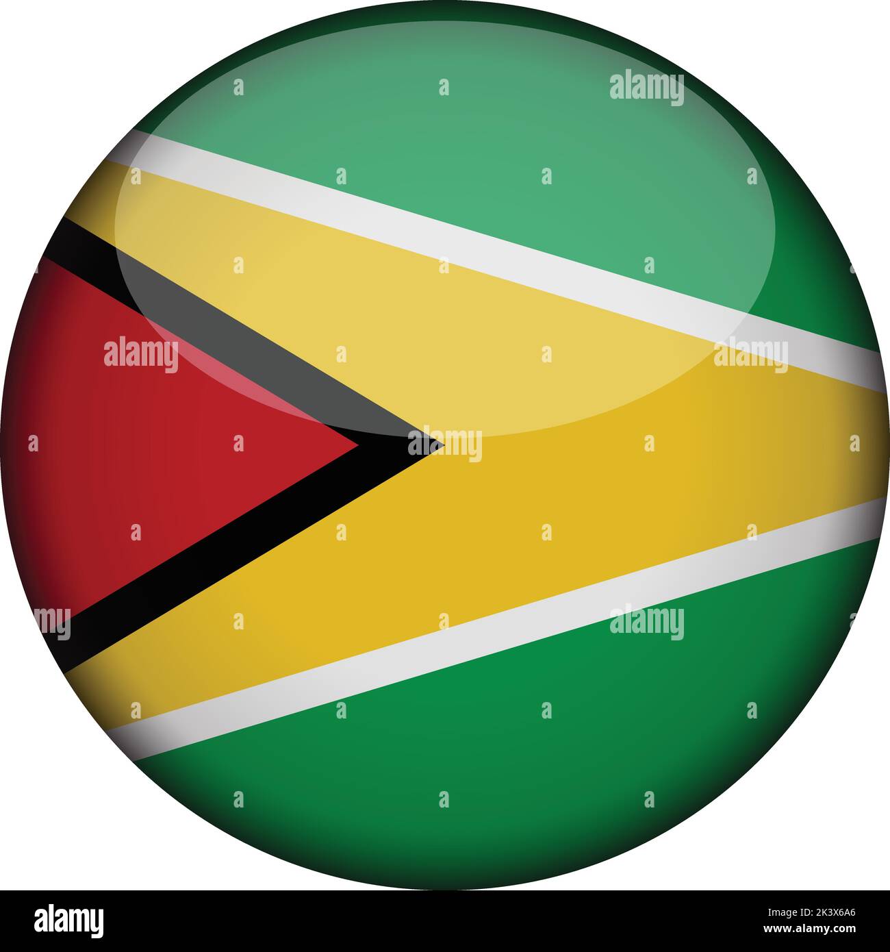 guyana Flag in glossy round button of icon. guyana emblem isolated on ...