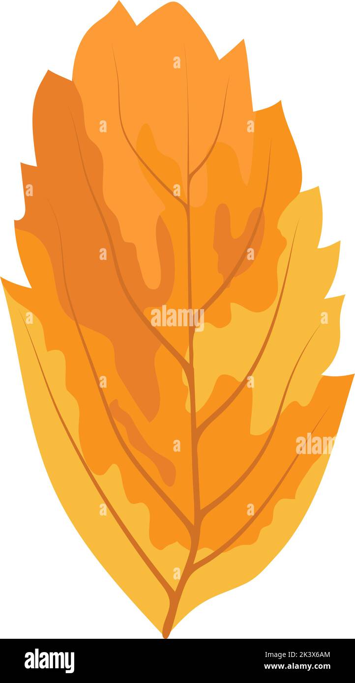 Autumn Rowan leaf. Leaf fall. Vector illustration Stock Vector Image ...