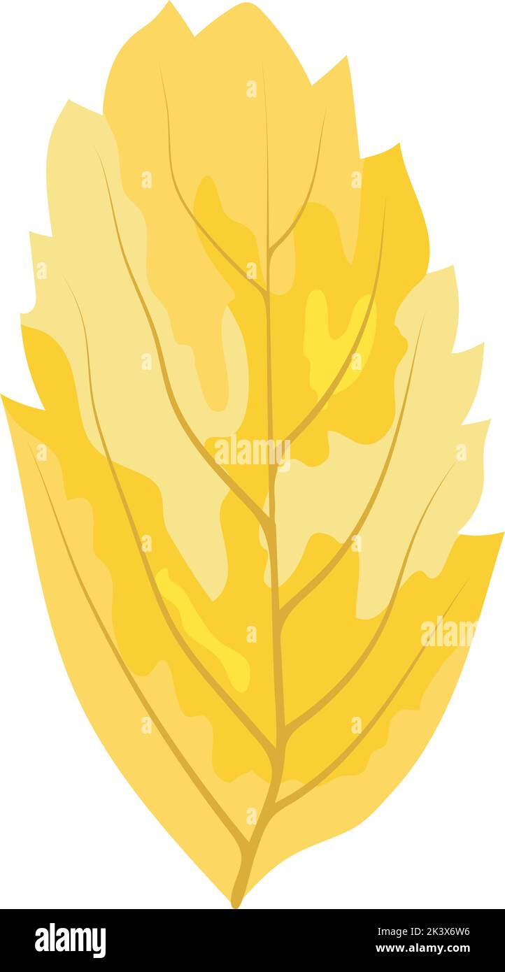 Autumn Rowan leaf. Leaf fall. Vector illustration Stock Vector Image ...