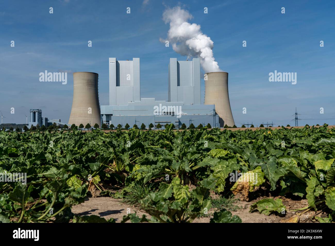 RWE's Neurath lignite-fired power plant, near Grevenbroich, Germany's ...