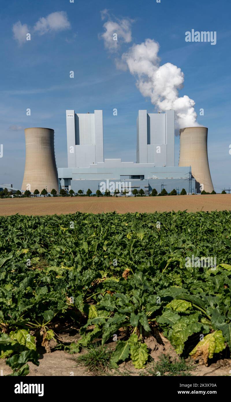 RWE's Neurath lignite-fired power plant, near Grevenbroich, Germany's ...
