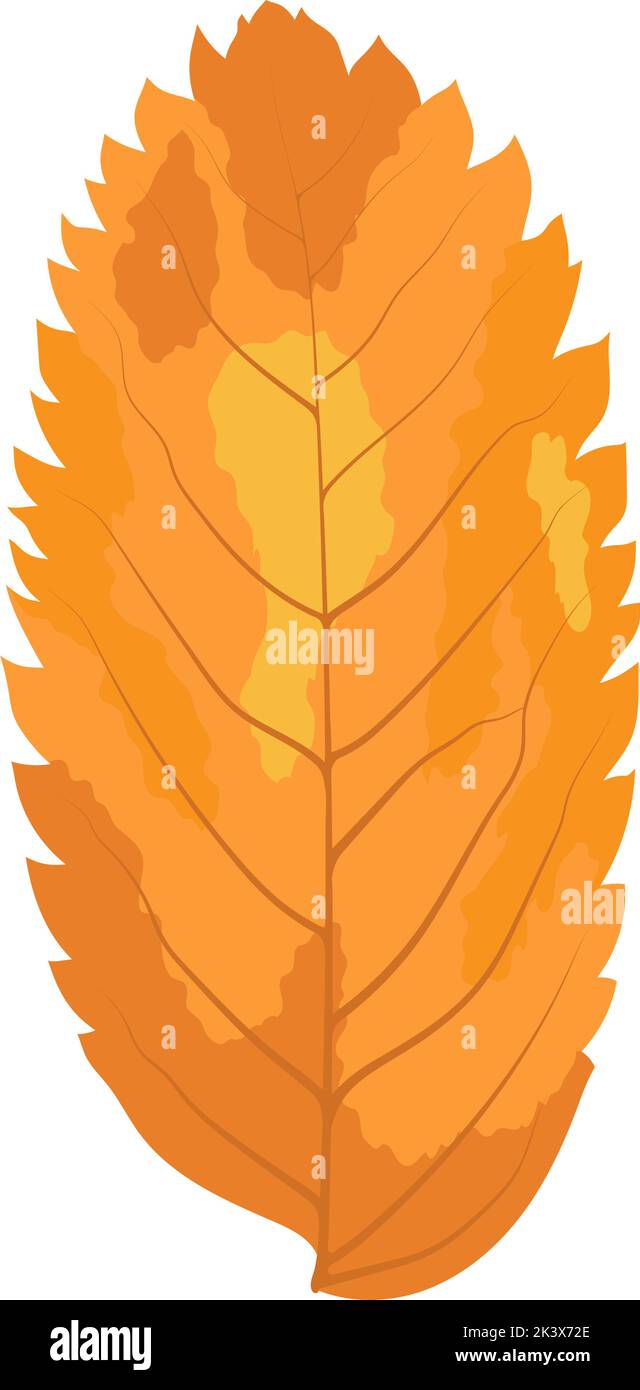 Autumn Rowan leaf. Leaf fall. Vector illustration Stock Vector Image ...