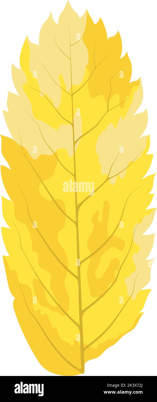 Autumn Rowan leaf. Leaf fall. Vector illustration Stock Vector Image ...