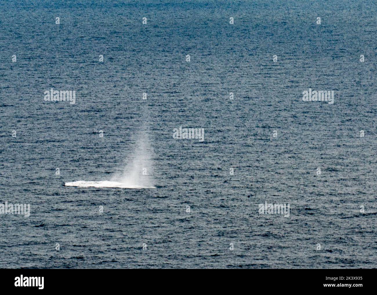 WATERS EAST OF THE KOREAN PENINSULA (Sept. 28, 2022) A floating mine ...