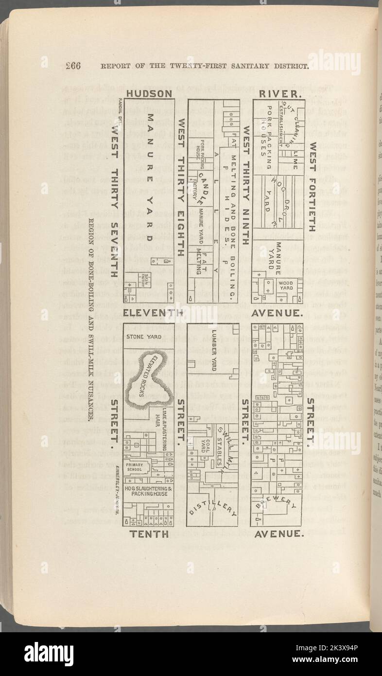 Region of Bone-Boiling and Swill-Milk Nuisances Report of the Council ...