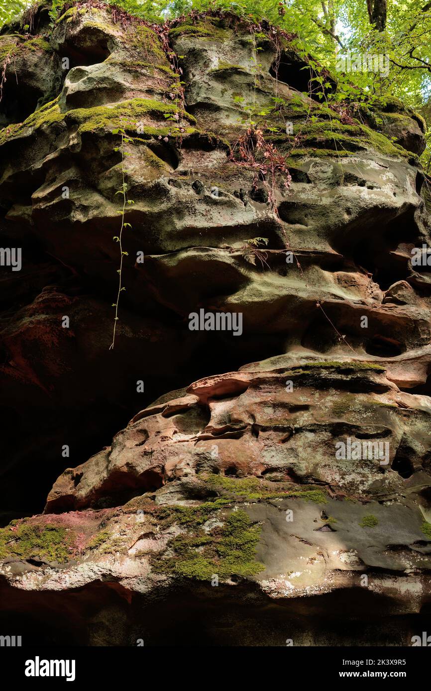 Rock formation and woodland landscape inside the Luxembourg little ...
