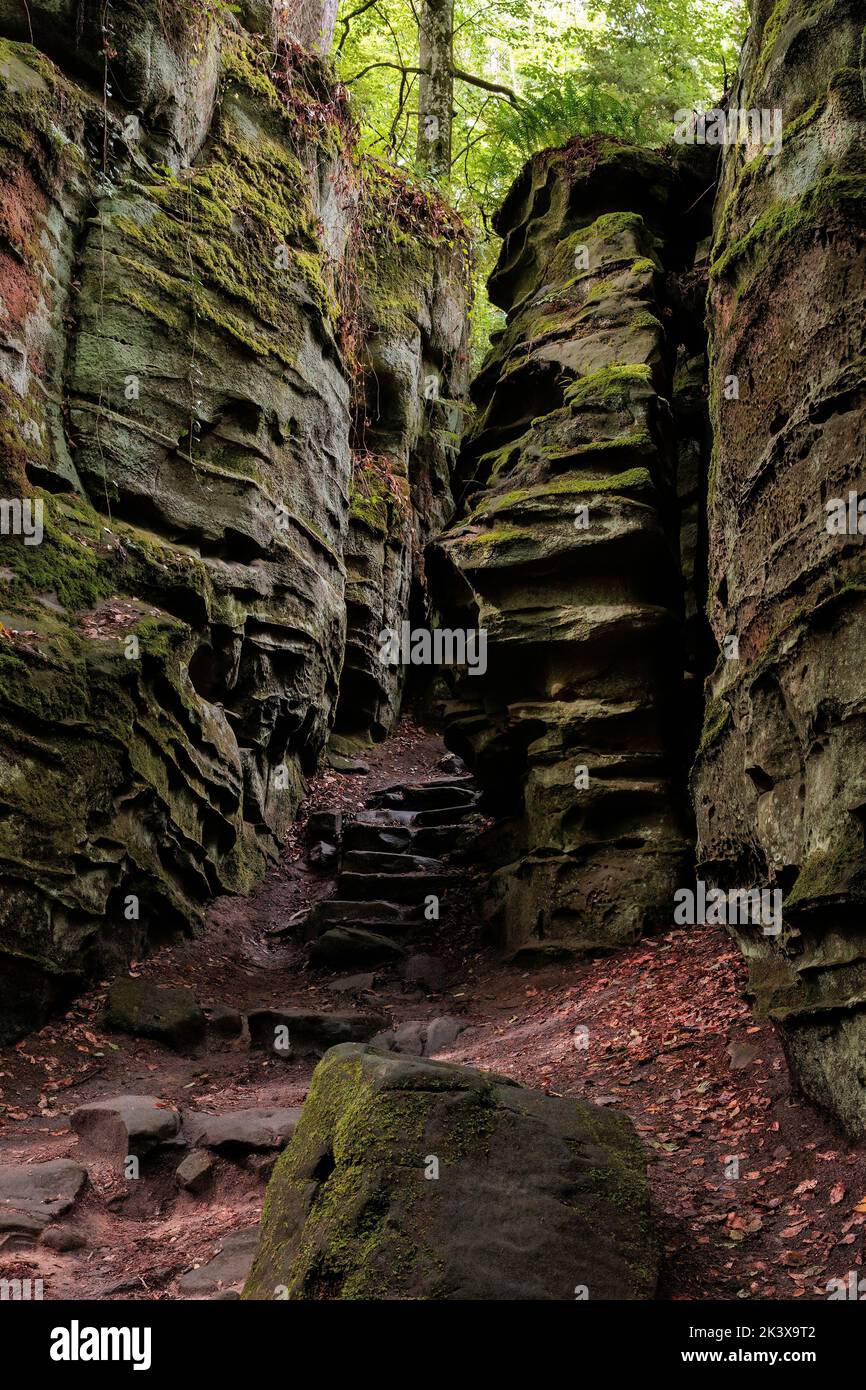 Rock formation and woodland landscape inside the Luxembourg little ...