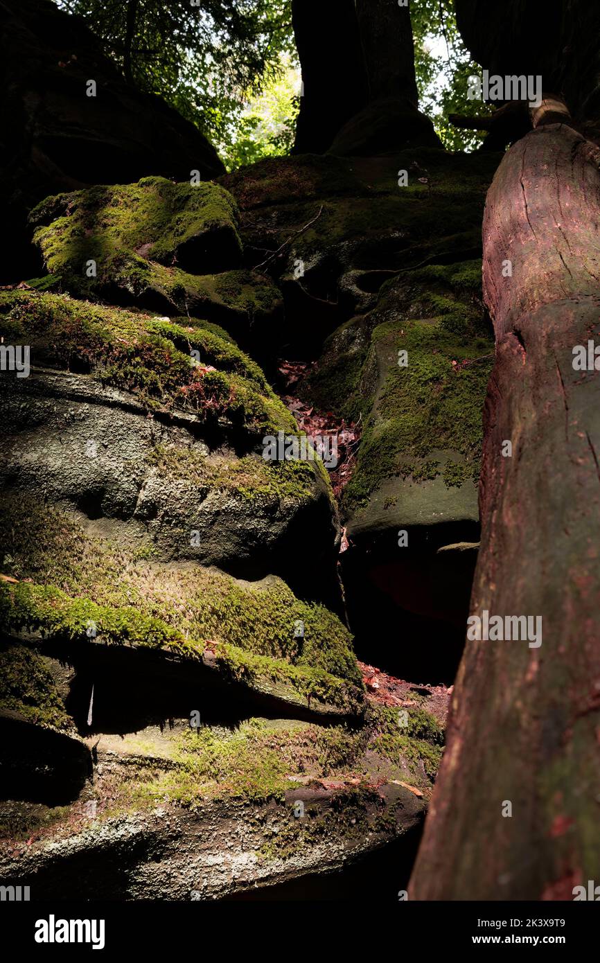 Rock formation and woodland landscape inside the Luxembourg little ...