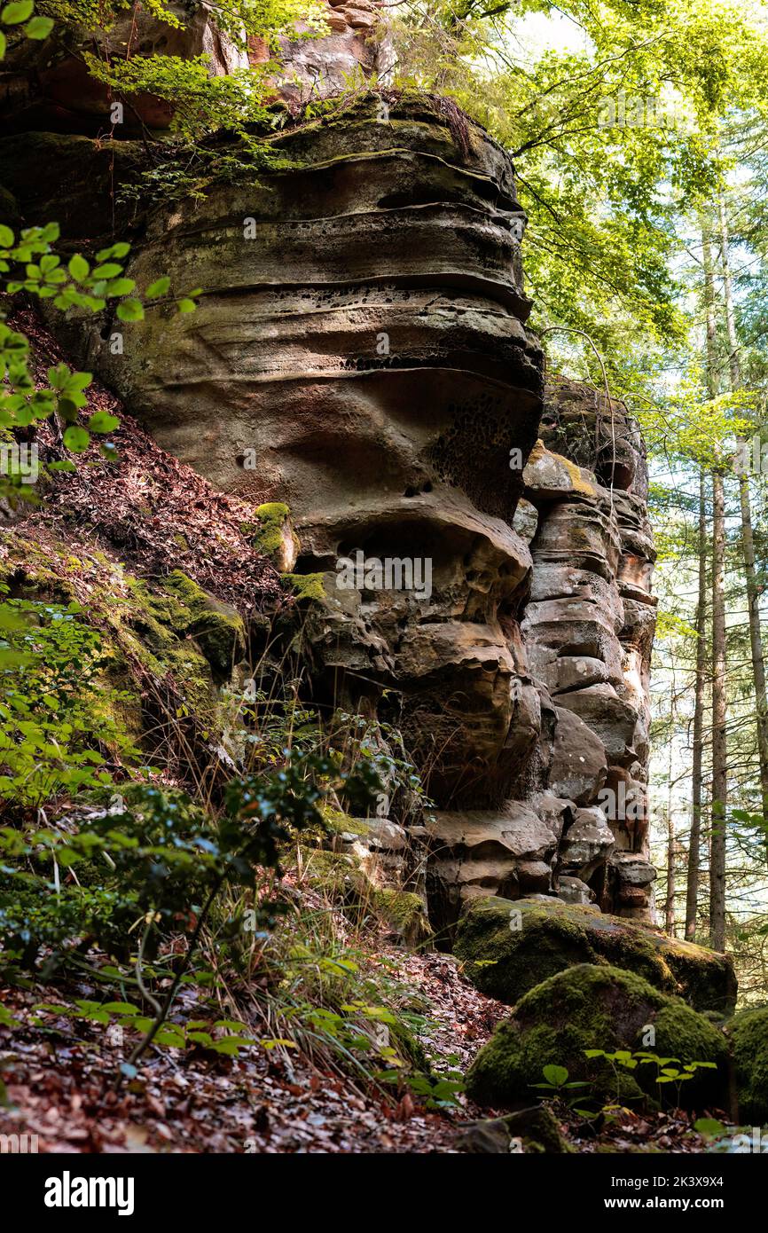 Rock formation and woodland landscape inside the Luxembourg little ...