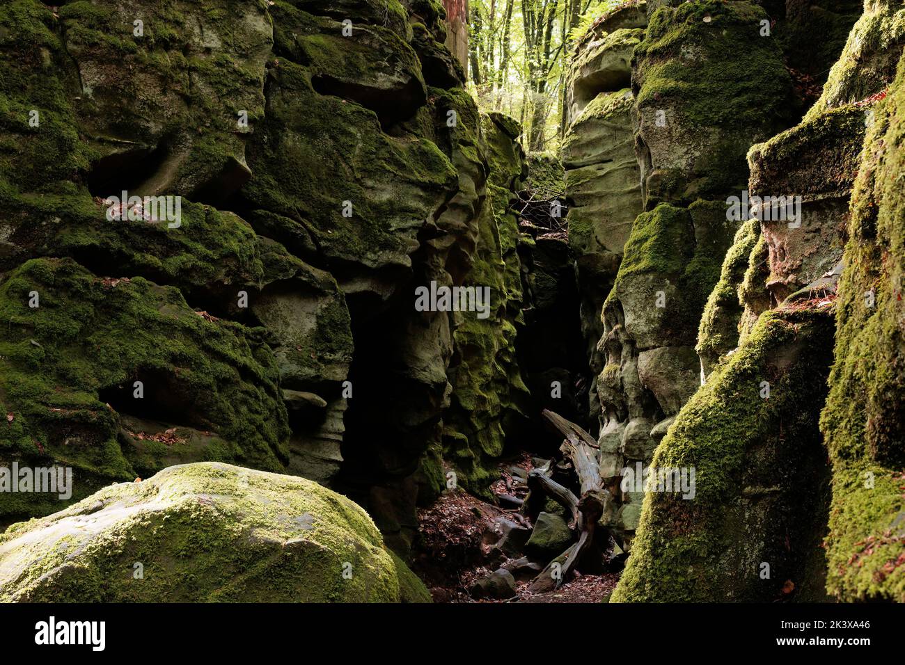 Rock formation and woodland landscape inside the Luxembourg little ...