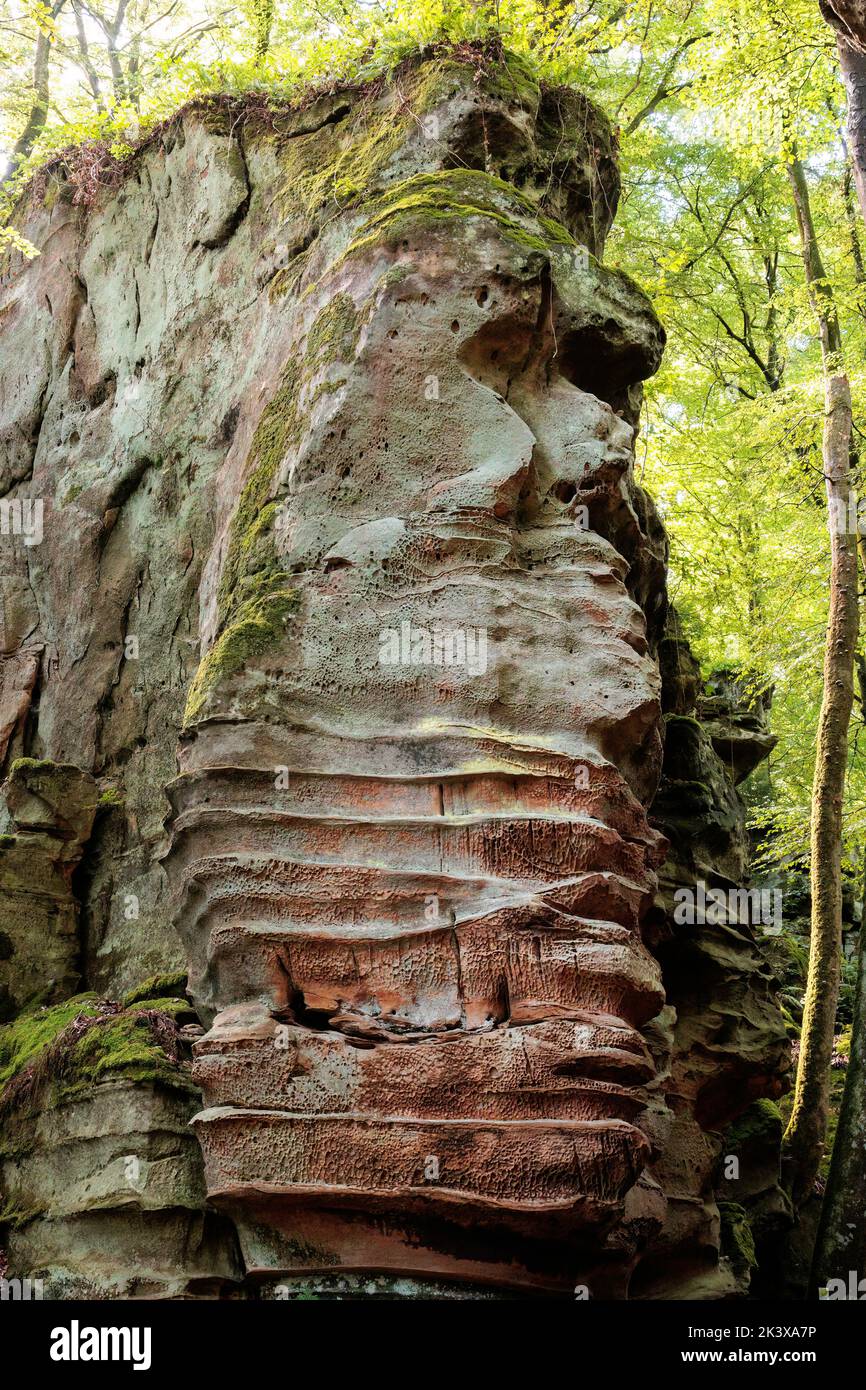 Rock formation and woodland landscape inside the Luxembourg little ...