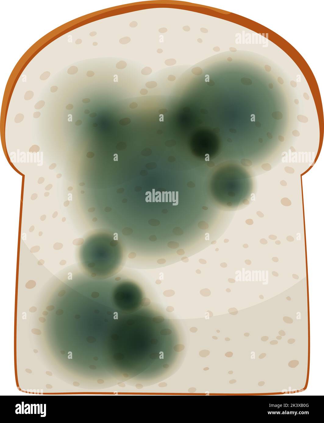A piece of bread with mold illustration Stock Vector Image & Art - Alamy