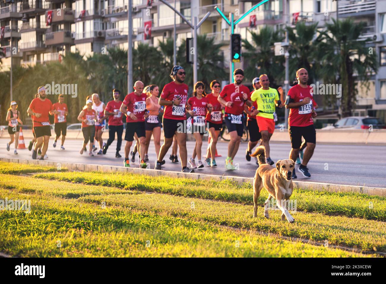 Izmir, Turkey - September 11, 2022: Competitors and a dog running in ...