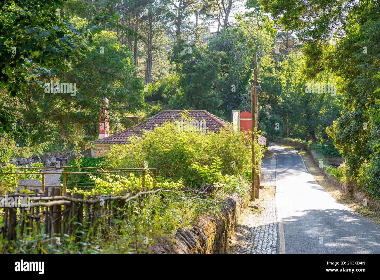 A narrow pathway between greenery in a small farm of Monserrate in ...