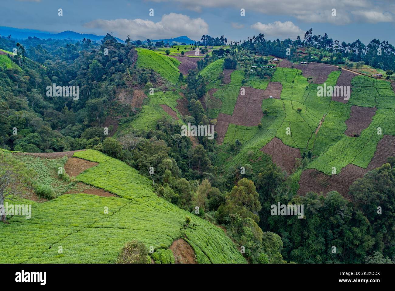 An aerial view of a beautiful green grass covered mountain range ...