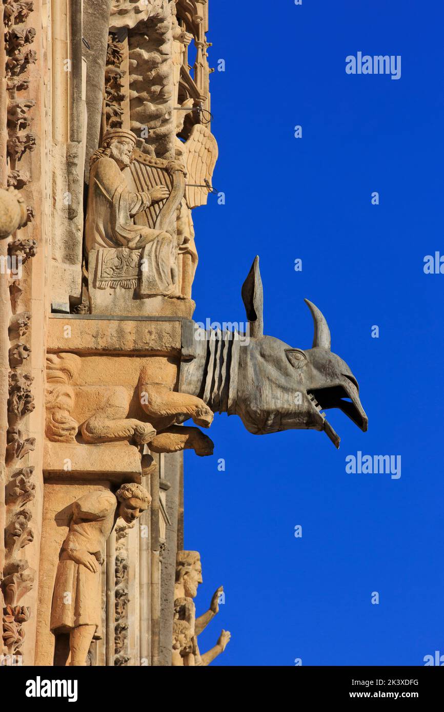 A rhinoceros-shaped gargoyle of Reims Cathedral in Reims (Marne ...