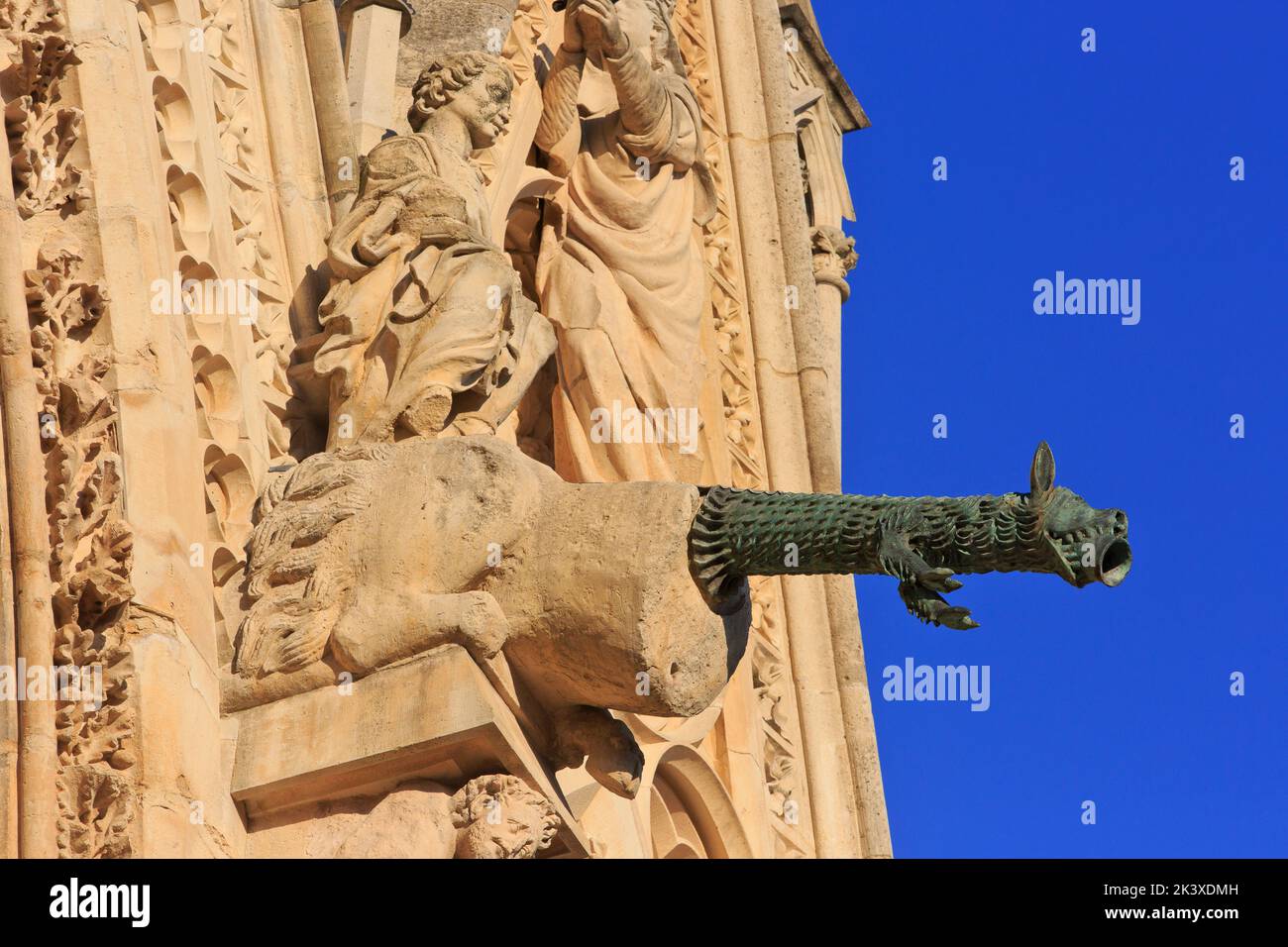 A wolf-shaped gargoyle at Reims Cathedral in Reims (Marne), France ...