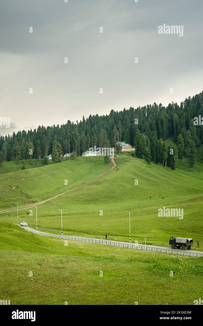 A vertical shot of a green grass field surrounded by large trees and ...