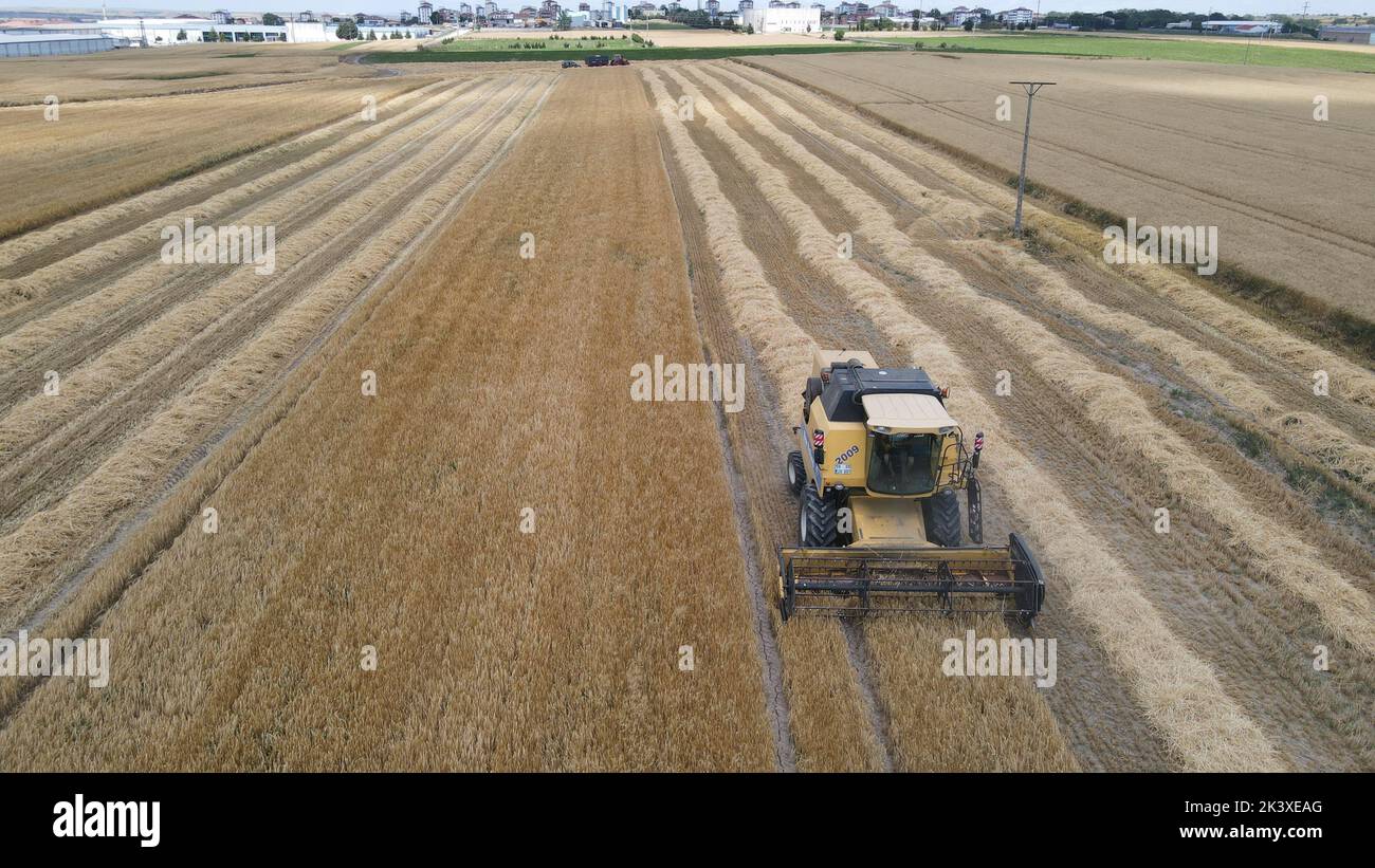 An aerial view of the yellow combine harvesting barley field Stock ...