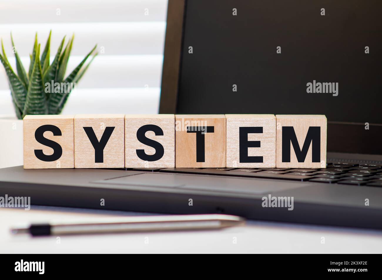 Word System from wooden letters on light grey background Stock Photo ...