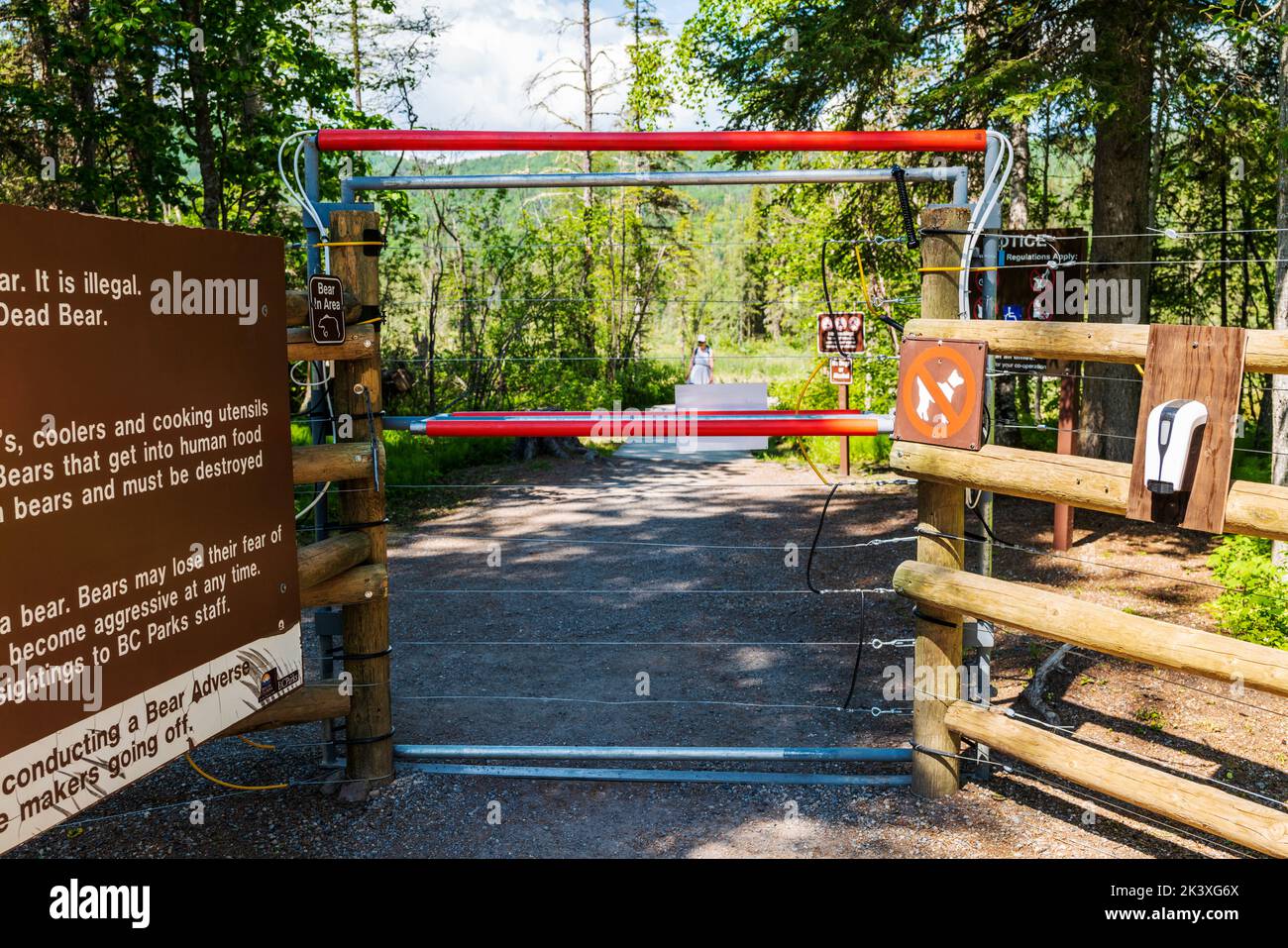 Secure electric gate barrier for bears; Liard River Hot Springs; Liard ...