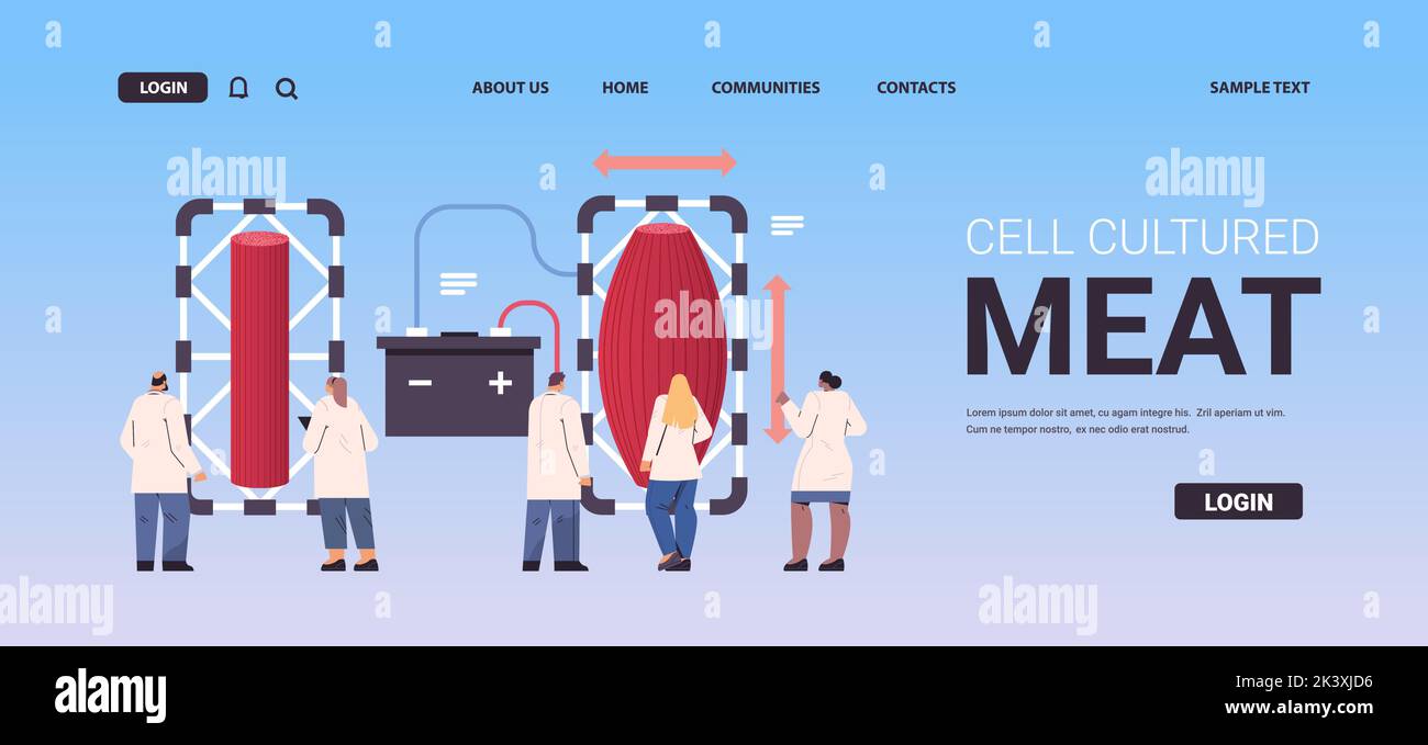 scientists controlling cultured red raw meat made from animal cells ...