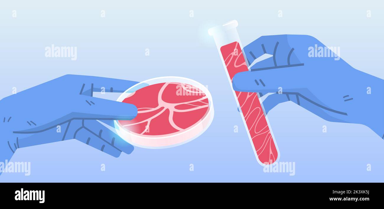 scientist hands holding test tubes with cultured red raw meat made from ...